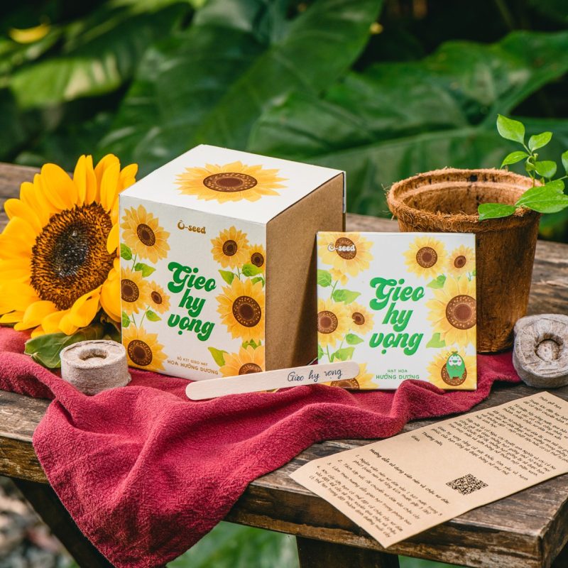 Bộ kit gieo hạt - Gieo hy vọng - Hạt hoa hướng dương