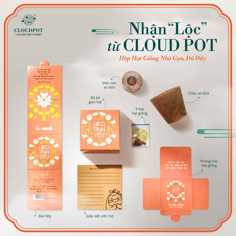 CLOUD POT nhà Golden Gate chọn Gieo là chủ đề truyền thông - Trao Group ...