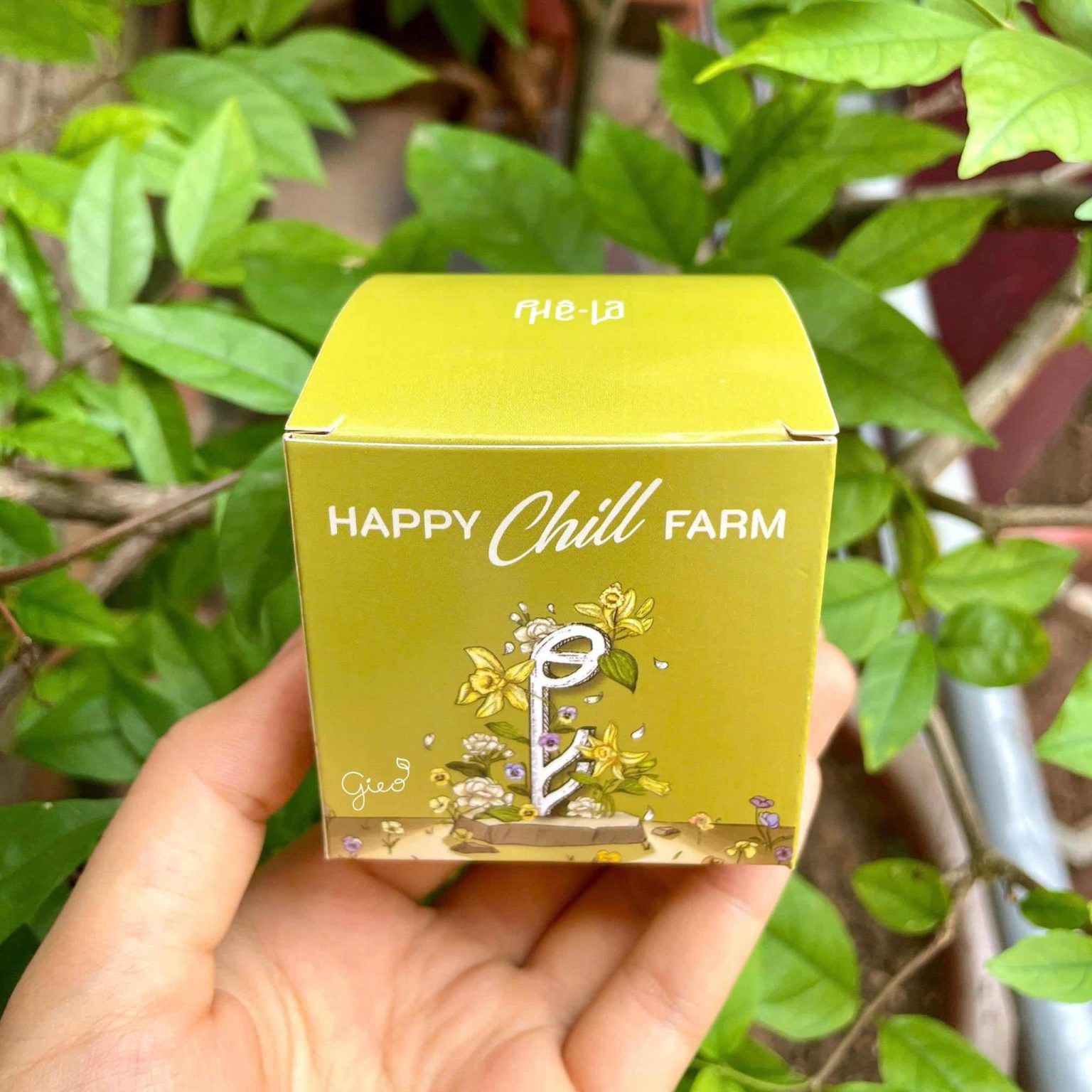 Phê La tặng bộ kit gieo hạt của Gieo cho các Đồng Chill - Trao Group ...